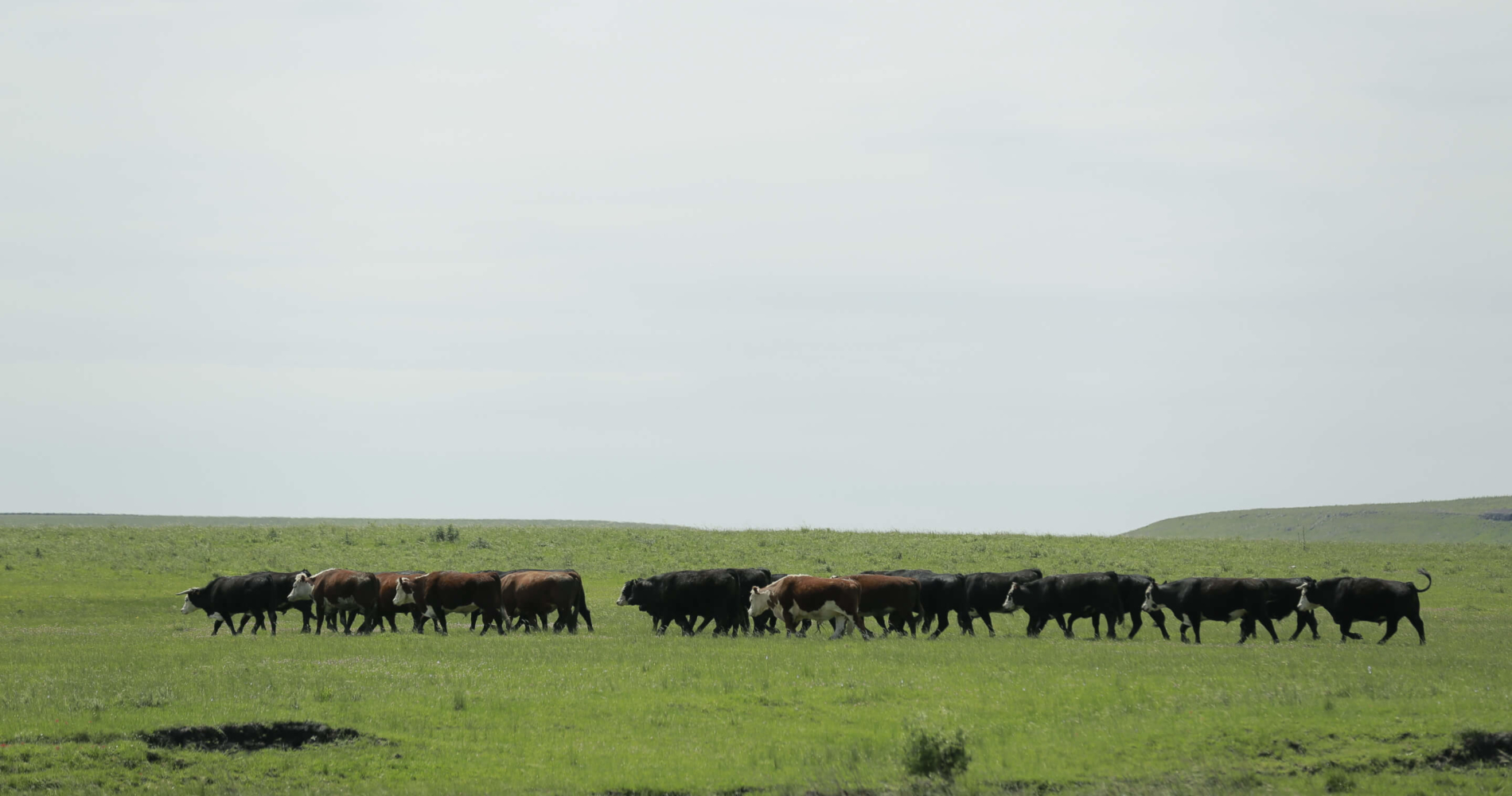 Manna Tree Partners Makes $15 Million Minority Investment in Verde ...