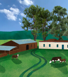 Verde Farms | Organic, Grass-Fed Beef; Hormone & Antibiotic Free